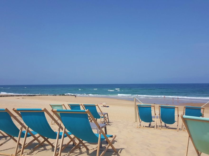 Que faire à Seignosse et aux alentours - Seignosse Tourisme