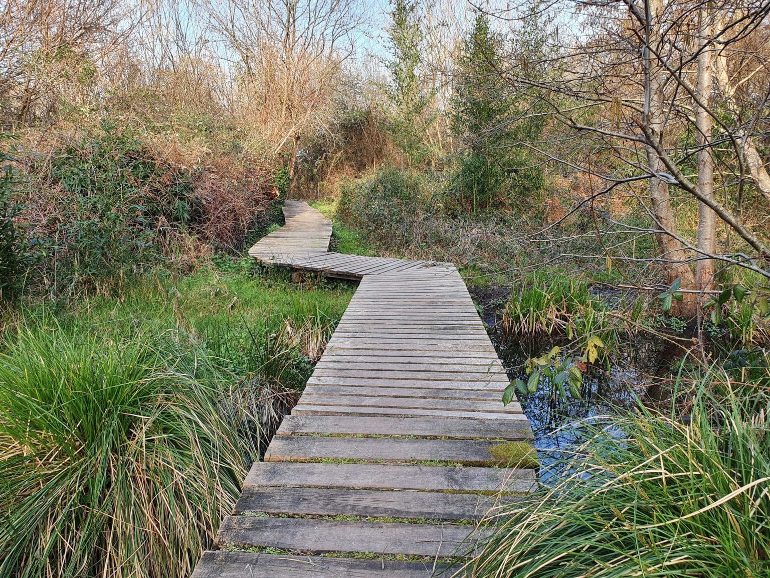Découvrir Seignosse Le Penon - Seignosse Tourisme