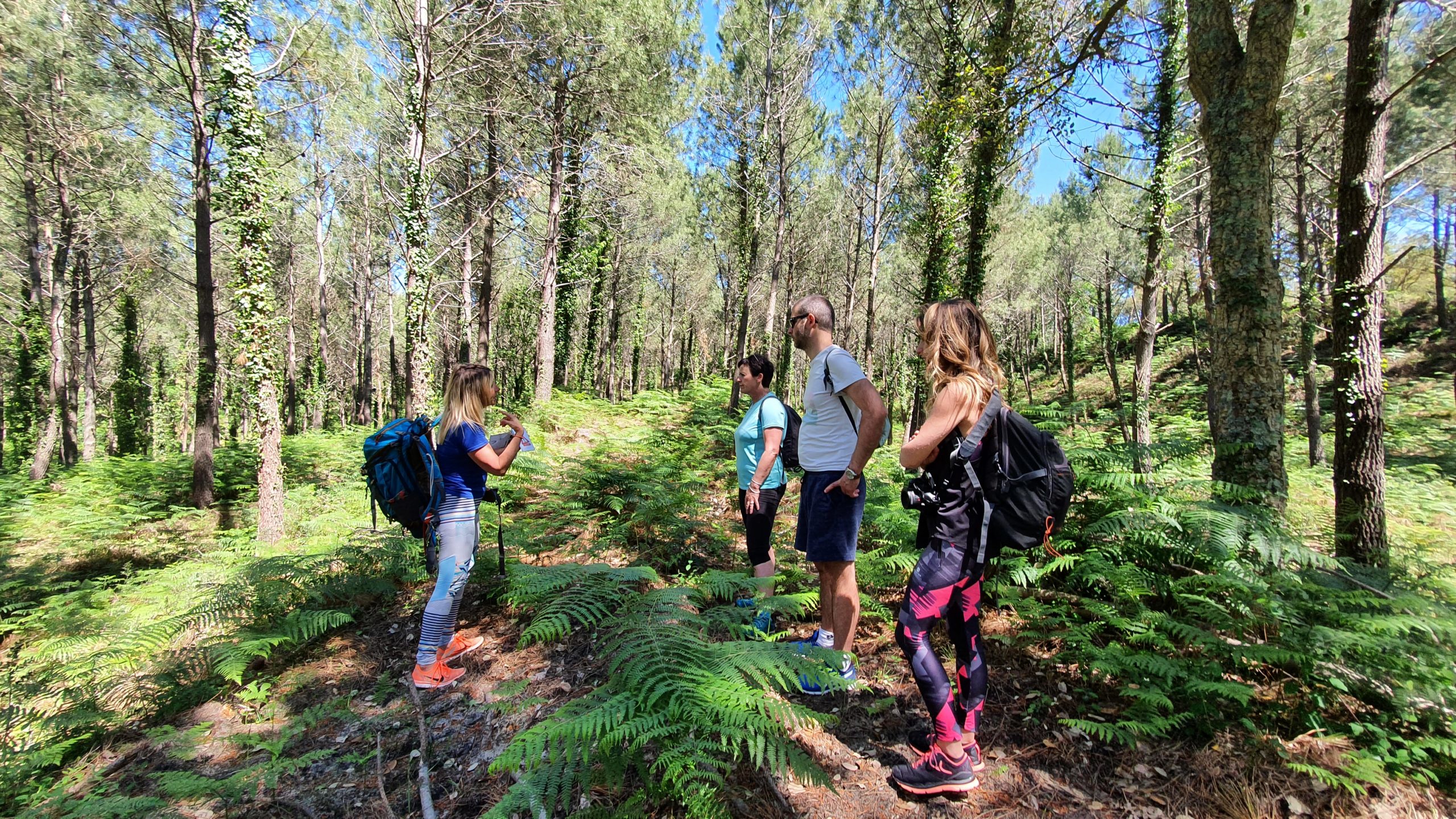 La forêt à Seignosse - randonnée et sentiers - Seignosse Tourisme